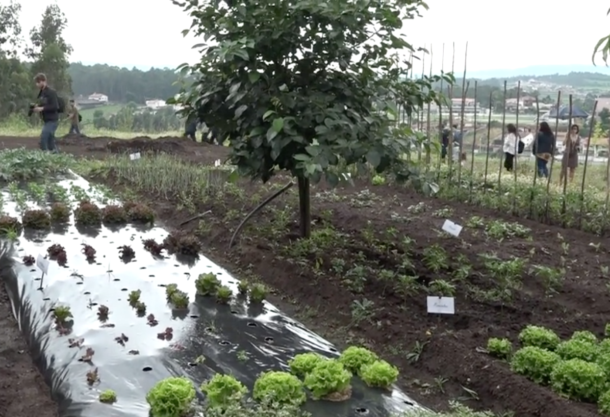 Scoop creates a biological garden for its employees | Scoop